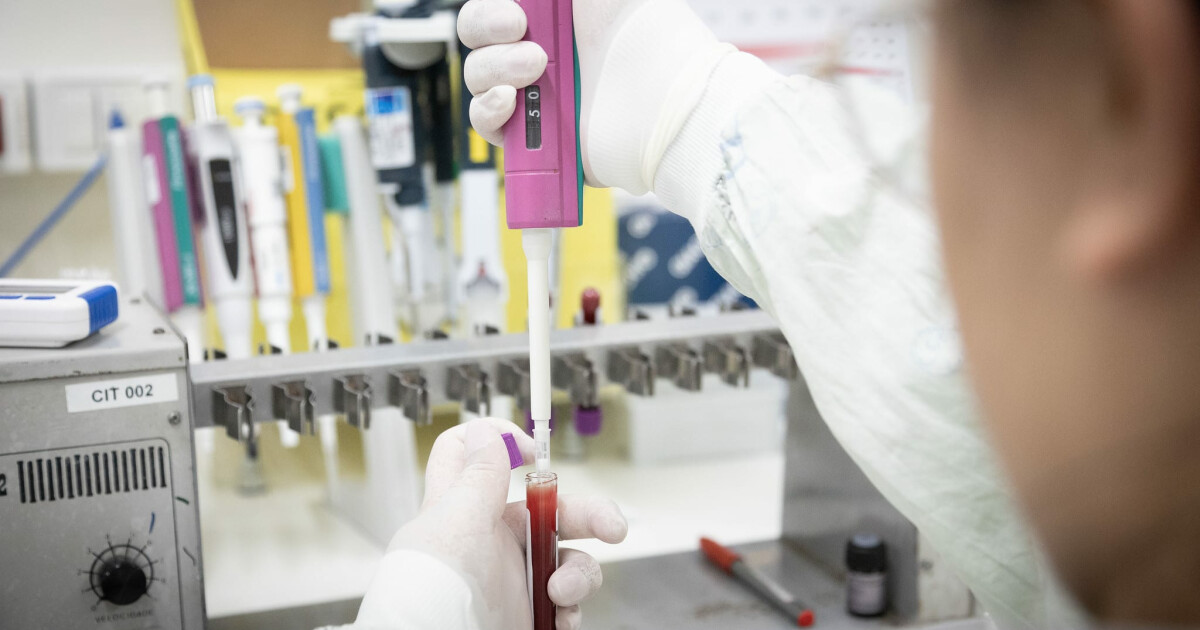 Após investigação, Governo de SP descarta caso suspeito do vírus Ebola ...